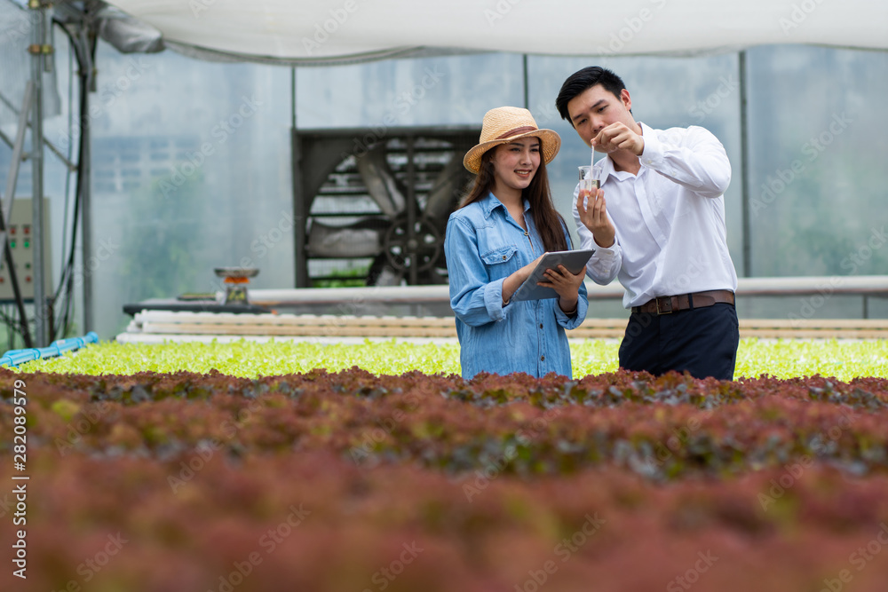 agricultural expert introduce woman hydroponic vegetable owner farmer ...