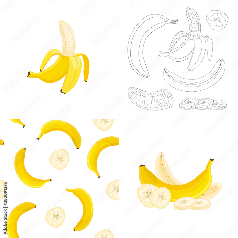Banana. Composition, seamless pattern, detailed illustration from ...