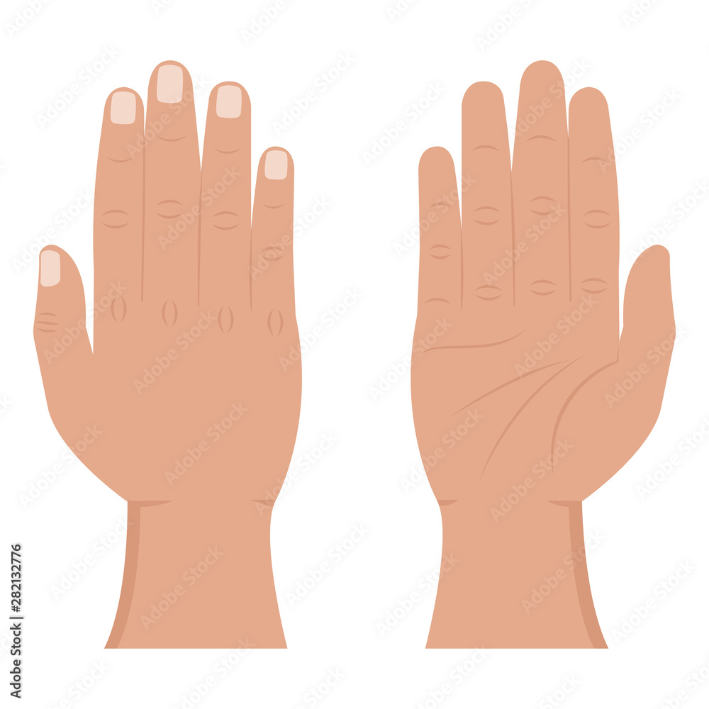Hand view from the inside and outside flat icons. Male palm, fingers ...