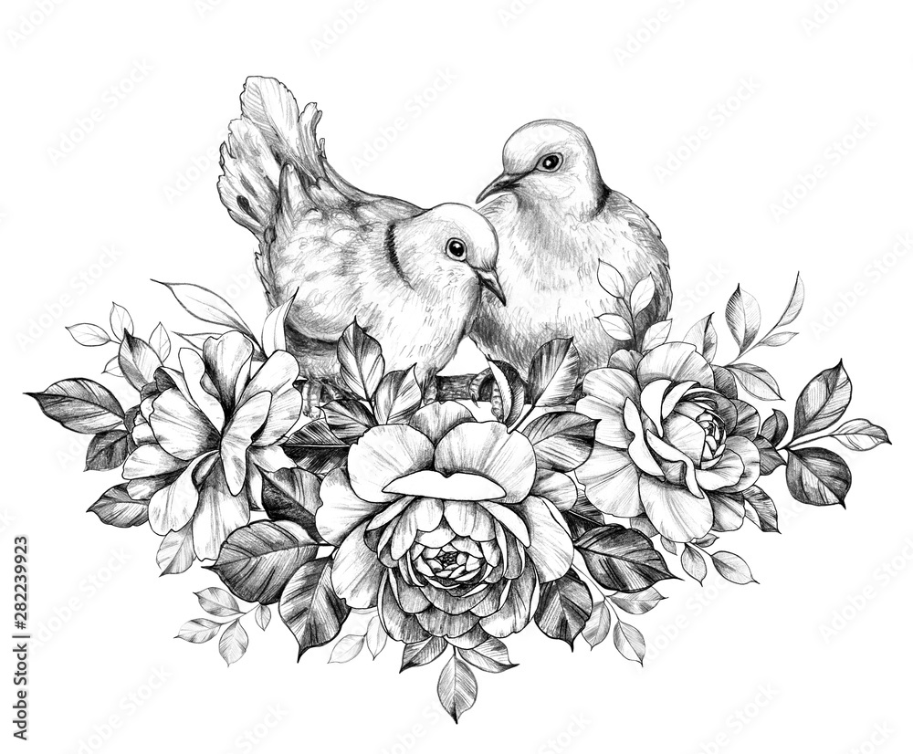 Doves Couple with Roses Pencil Drawing Stock Illustration | Adobe Stock