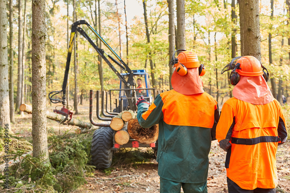 Forest workers watch forwarder with crane Stock Photo | Adobe Stock