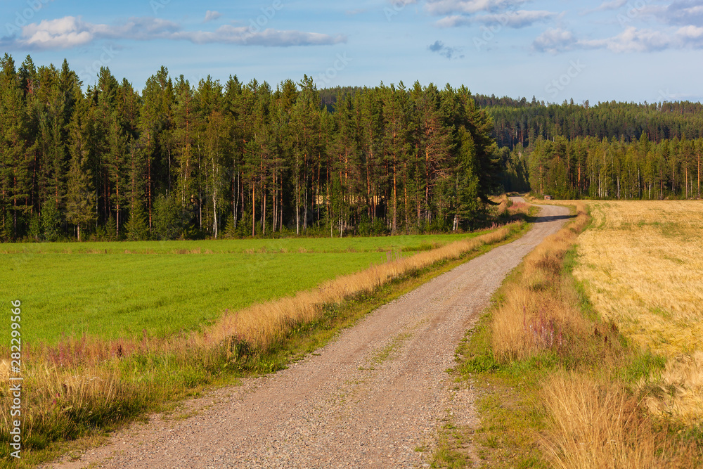 The curved country road through fields with green and dry grass ...