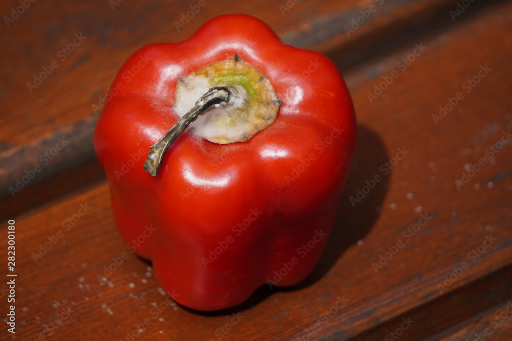 Red Bulgarian pepper covered with mold and fungus, spoiled food. pepper ...