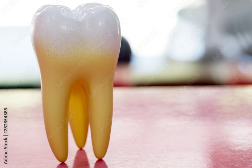 tooth anatomy on color background. Stock Photo | Adobe Stock