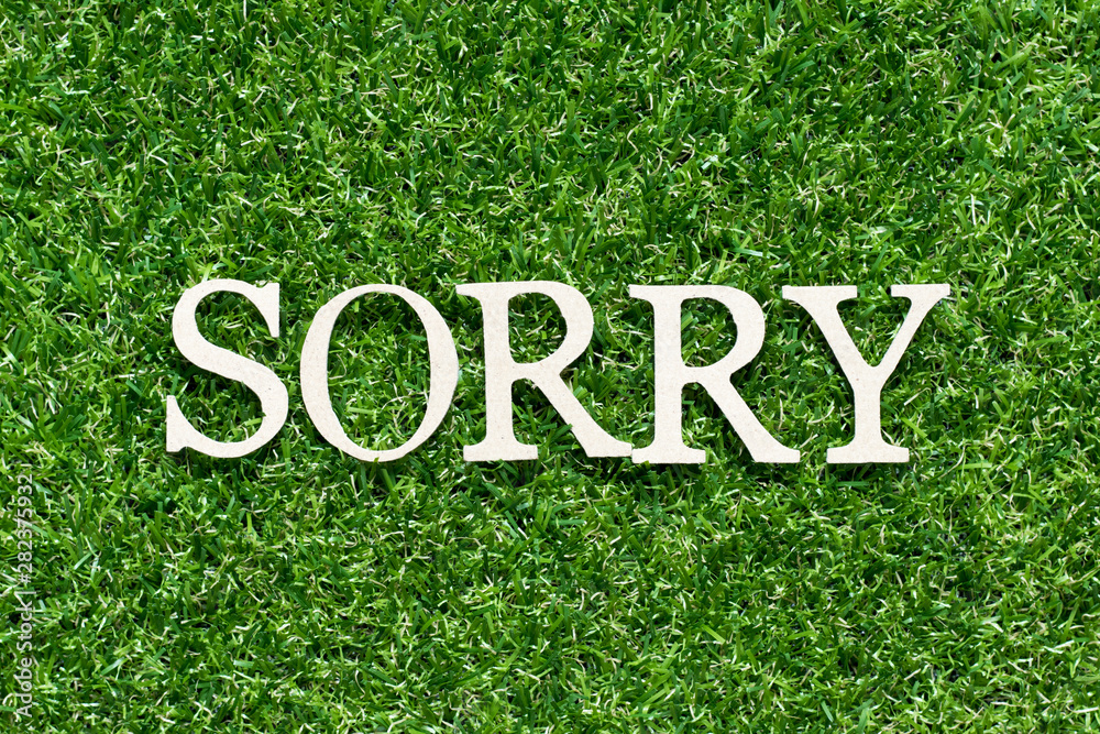 Poster Wood alphabet letter in word sorry on artificial green grass ...