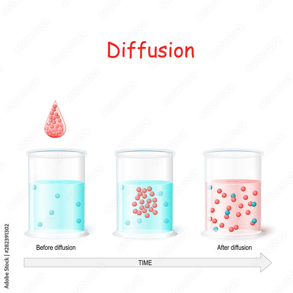 Diffusion process. Laboratory flasks with water before and after ...