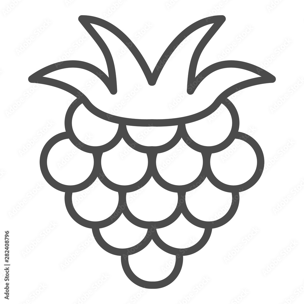 Raspberry outline icon, fruit symbol, healthy food vector sign isolated ...
