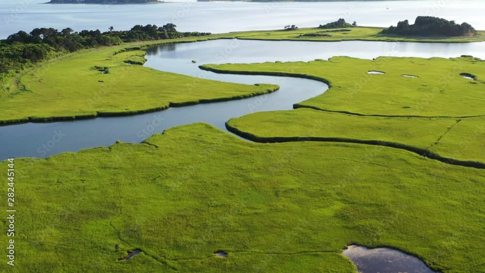 A healthy salt marsh grows in Pleasant Bay, Cape Cod, Massachusetts ...