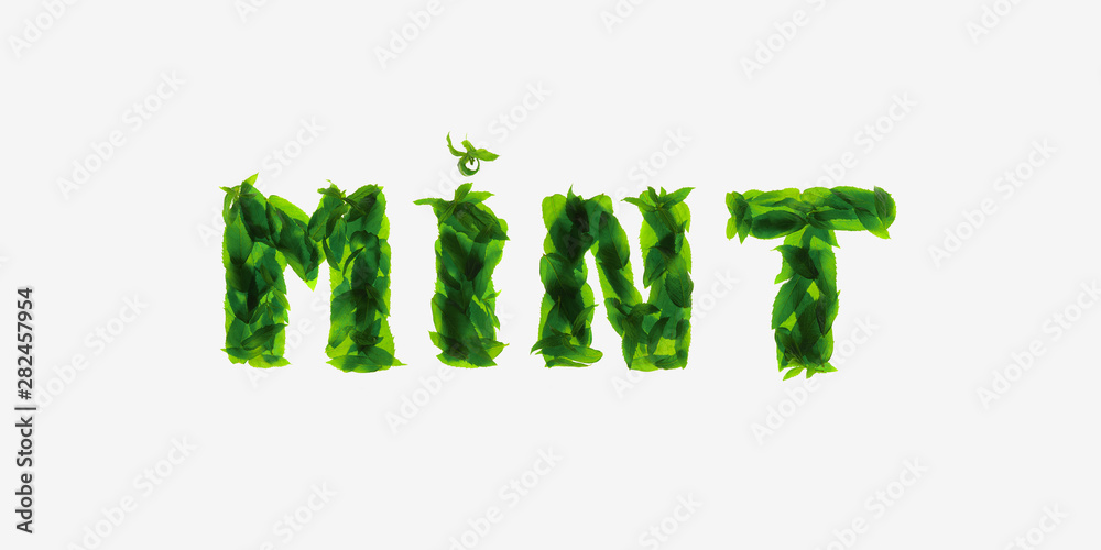 Mint leaves isolated on white background. The inscription calligraphic ...
