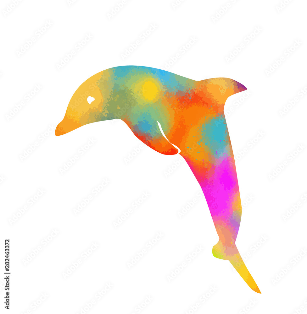 Rainbow Dolphin