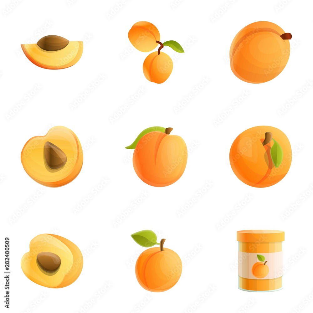 Organic peach icon set. Cartoon set of 9 organic peach vector icons for ...