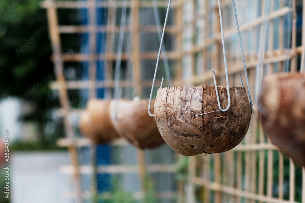 Coir pot for plant a tree Stock Photo | Adobe Stock