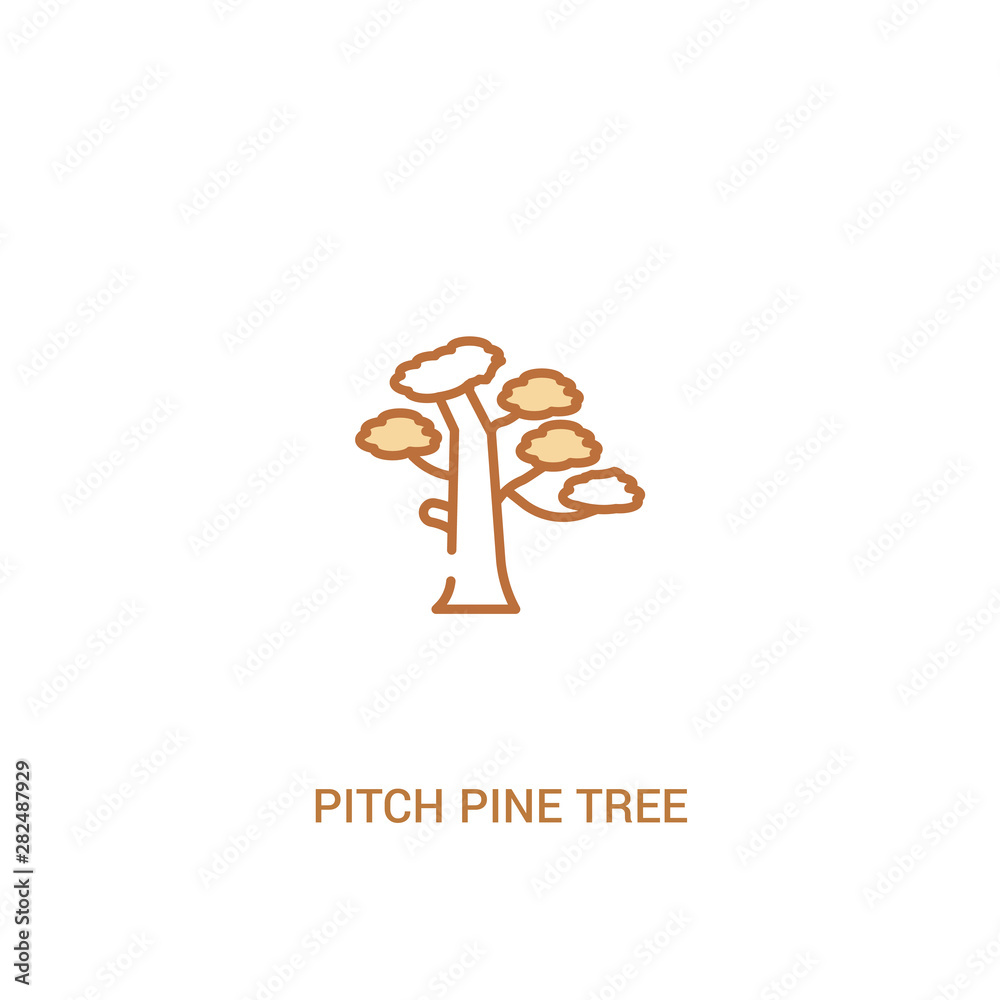 pitch pine tree concept 2 colored icon. simple line element ...