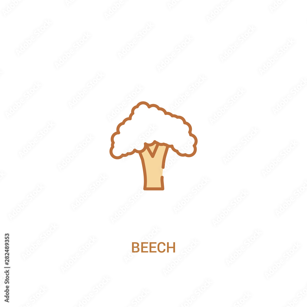 Beech Symbol