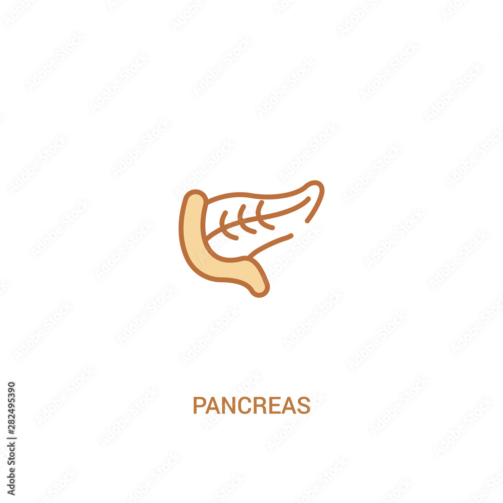 pancreas concept 2 colored icon. simple line element illustration ...