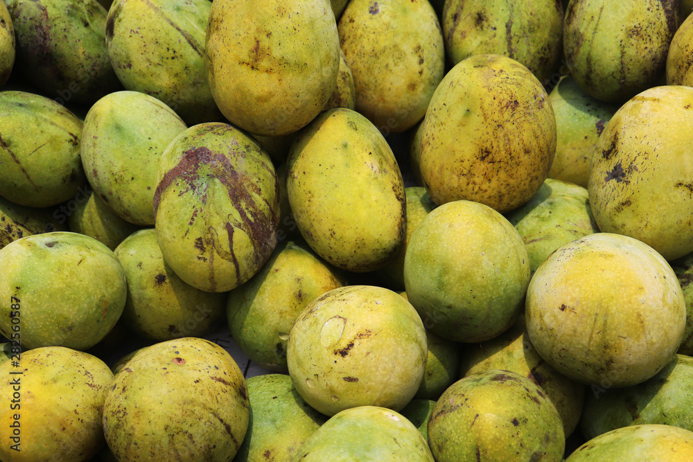 Mango Fruit, Pile of Beautiful Green Mango Stock Photo | Adobe Stock