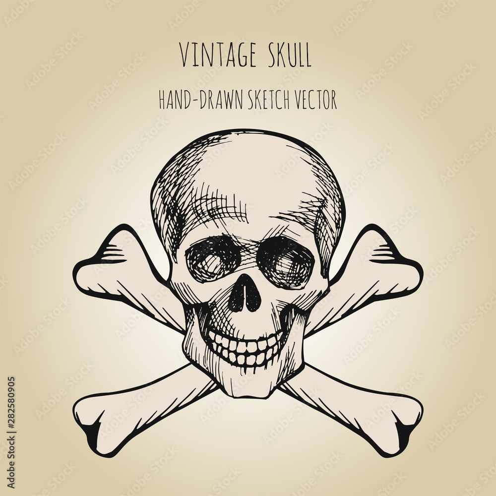 Human Skull Pirate Symbol Jolly Roger Hand Drawn Sketch Vector Stock