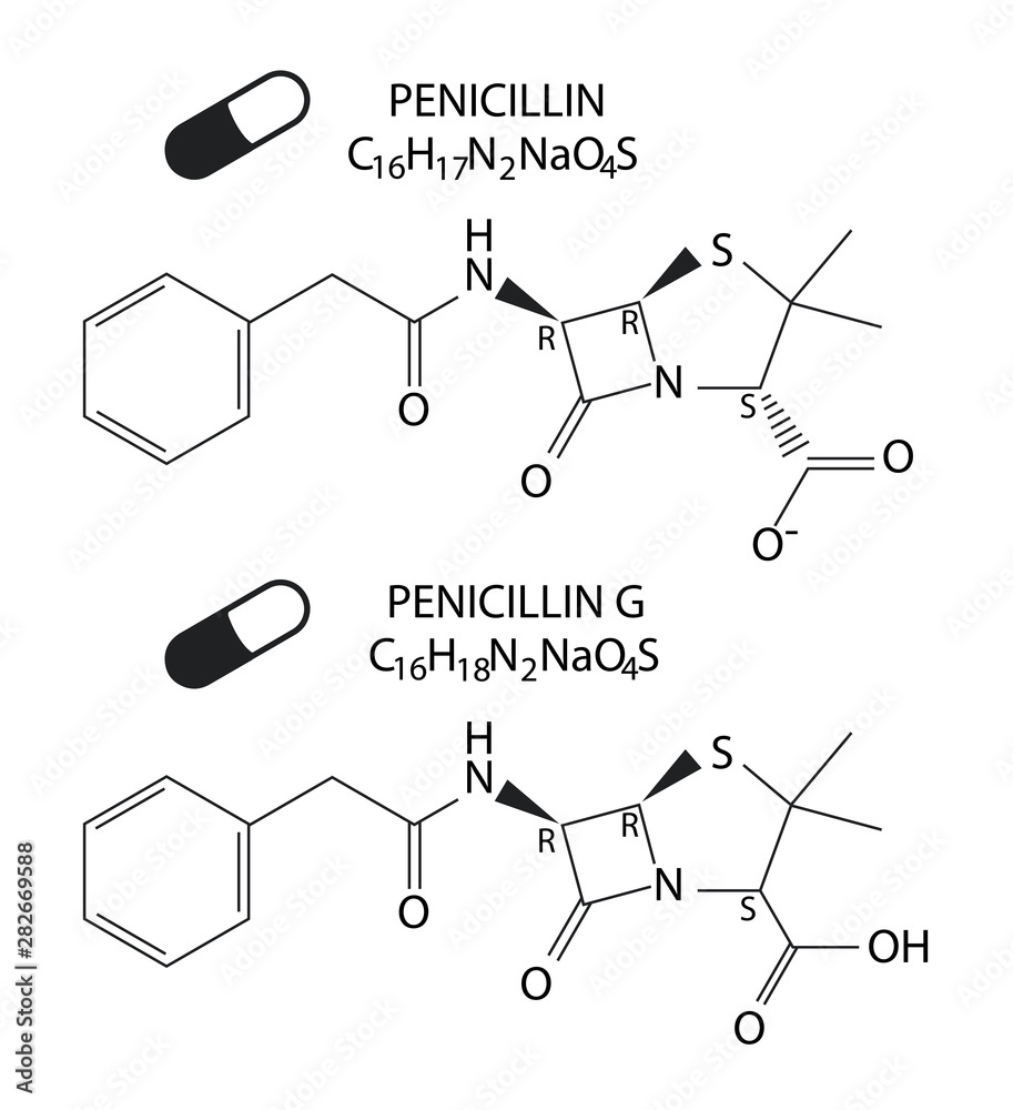 Vector illustration of chemical structural formular of Penicillin and ...