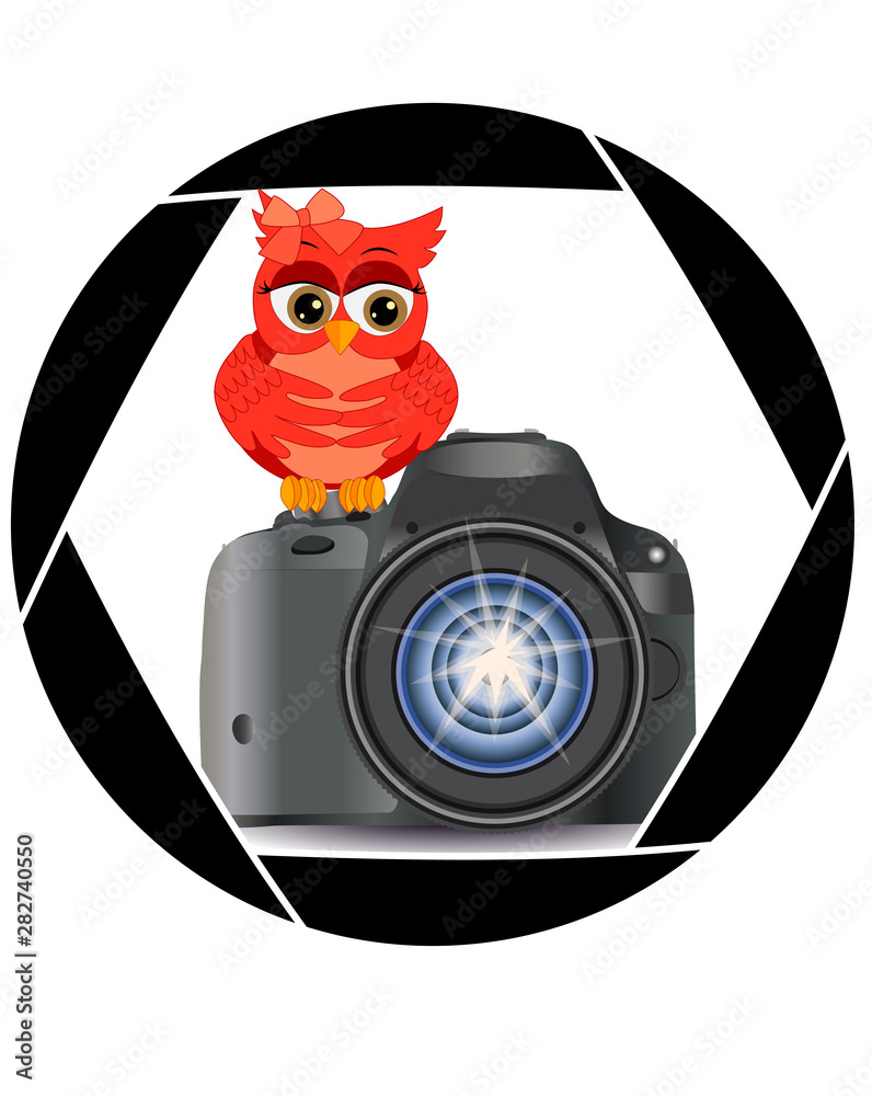 Beautiful cartoon red owl sits on the button Start the camera in the ...