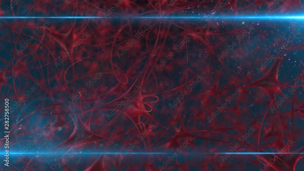 Brain neuron, also known as a neurone or nerve cell Stock ビデオ | Adobe Stock