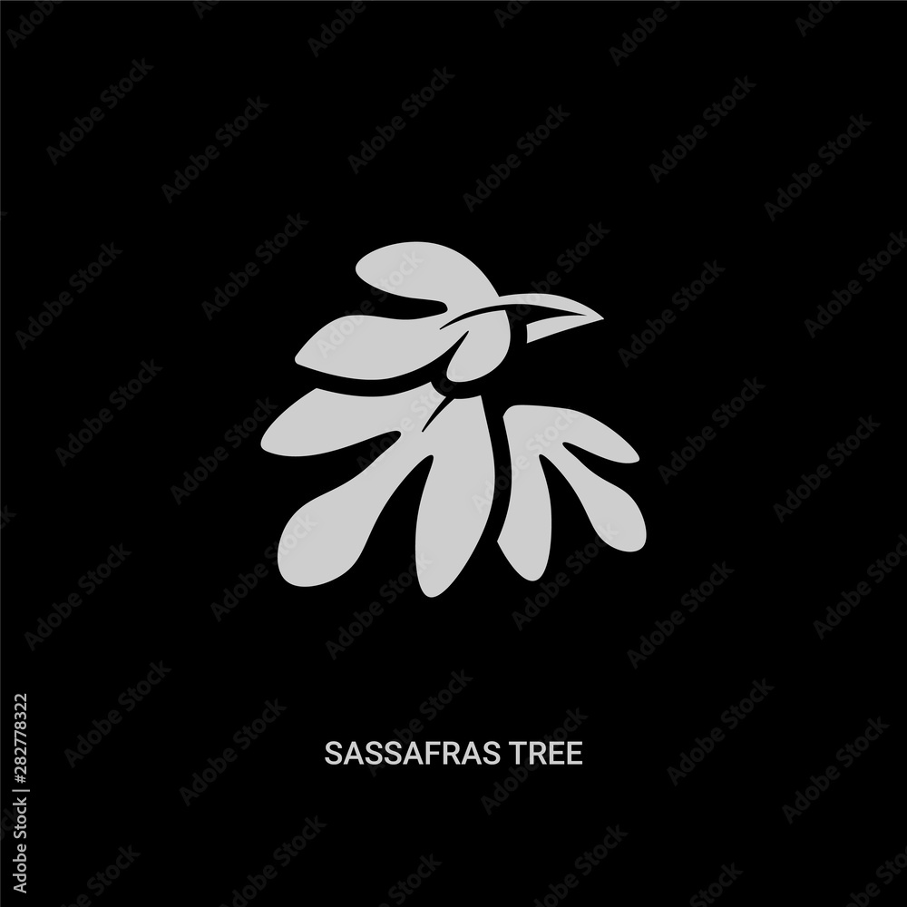 white sassafras tree vector icon on black background. modern flat ...