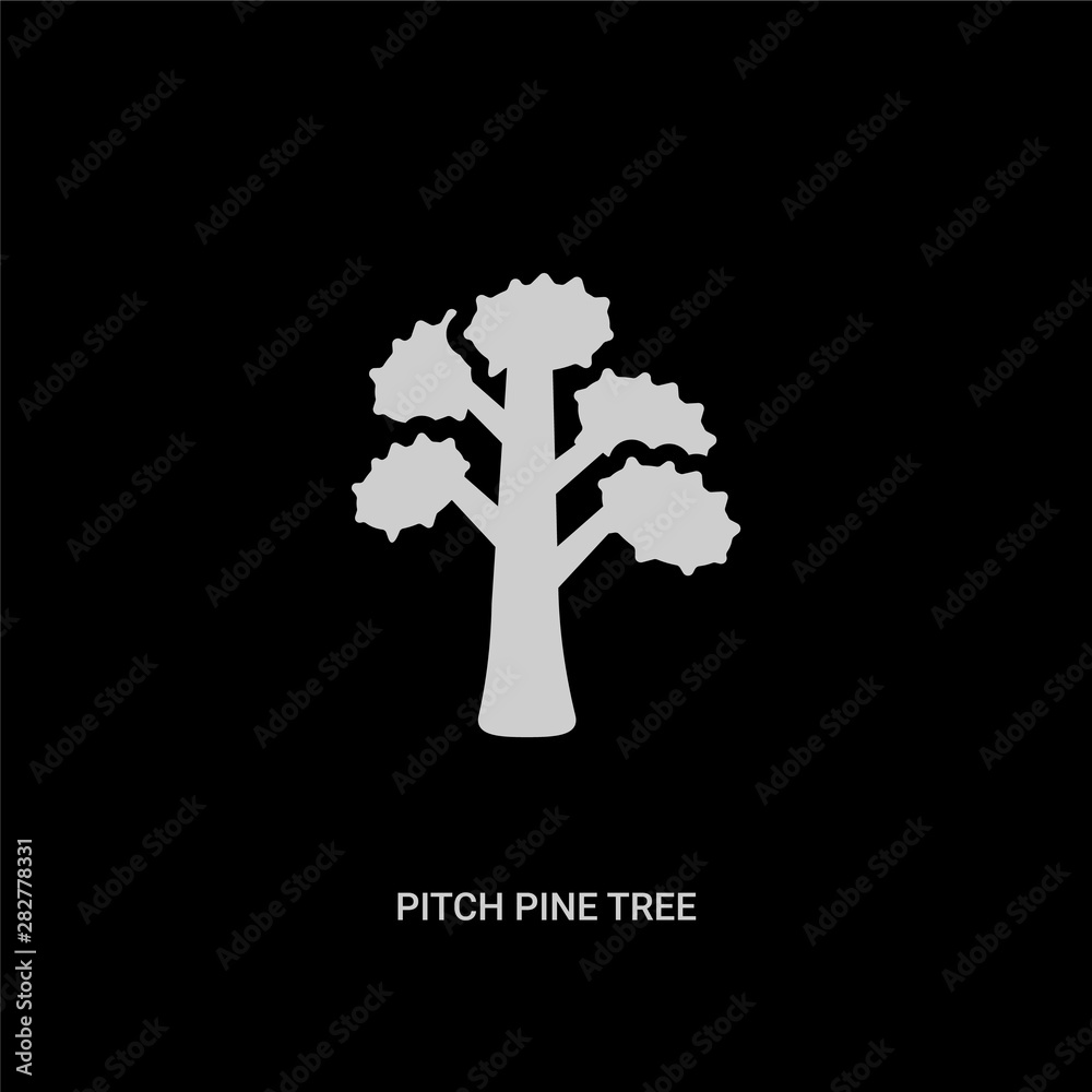 white pitch pine tree vector icon on black background. modern flat ...