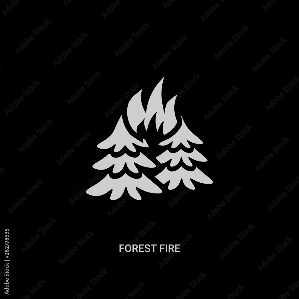 Forest Fire Black And White
