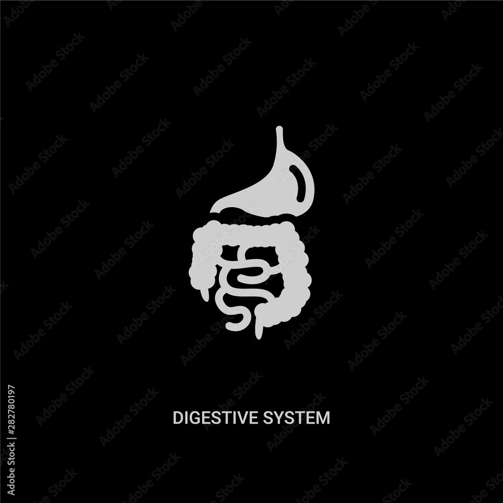 Vecteur Stock white digestive system vector icon on black background ...
