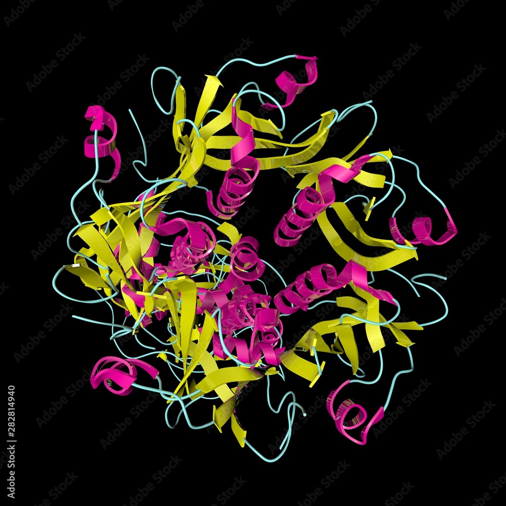 Crystal structure of typhoid toxin produced by bacterium Salmonella ...