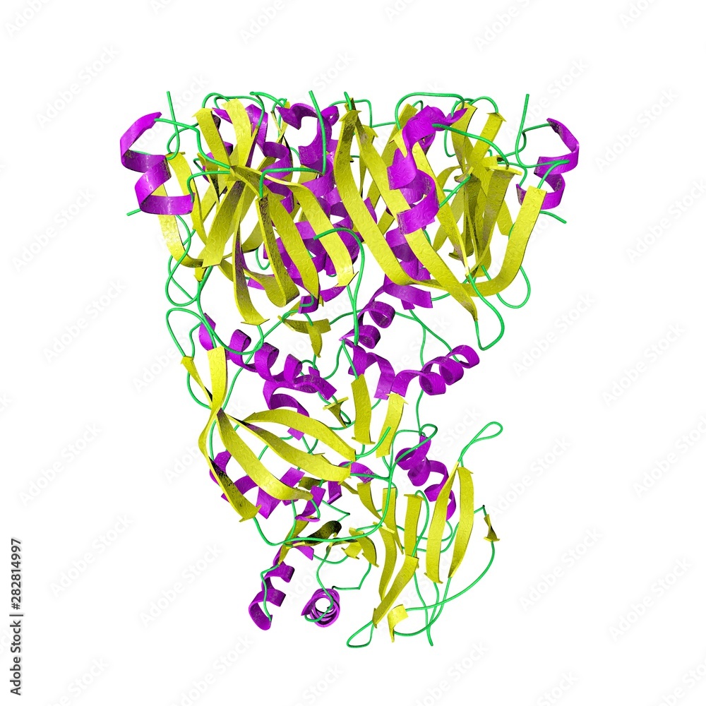 Crystal structure of typhoid toxin produced by bacterium Salmonella ...
