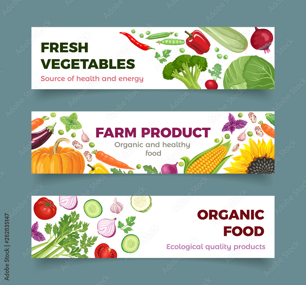 Set of vegetables banner. Standard web design size. Vector bright ...