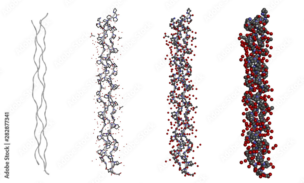 Hydration structure of a triple helix collagen peptide molecule in ...