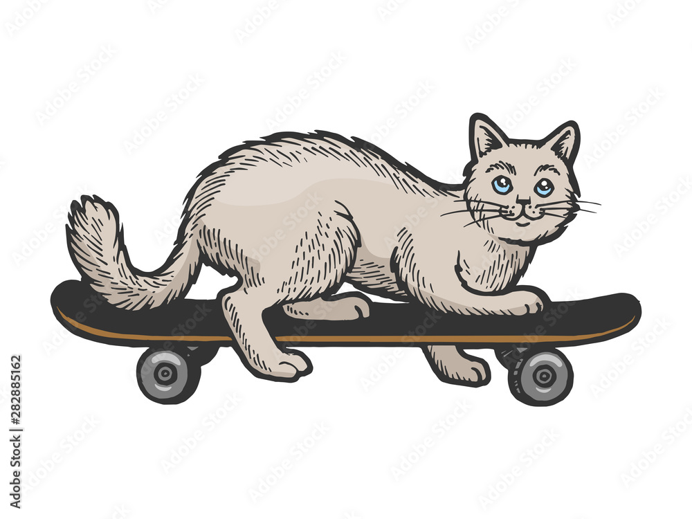 Domestic cat pet ride on skateboard color sketch engraving vector ...