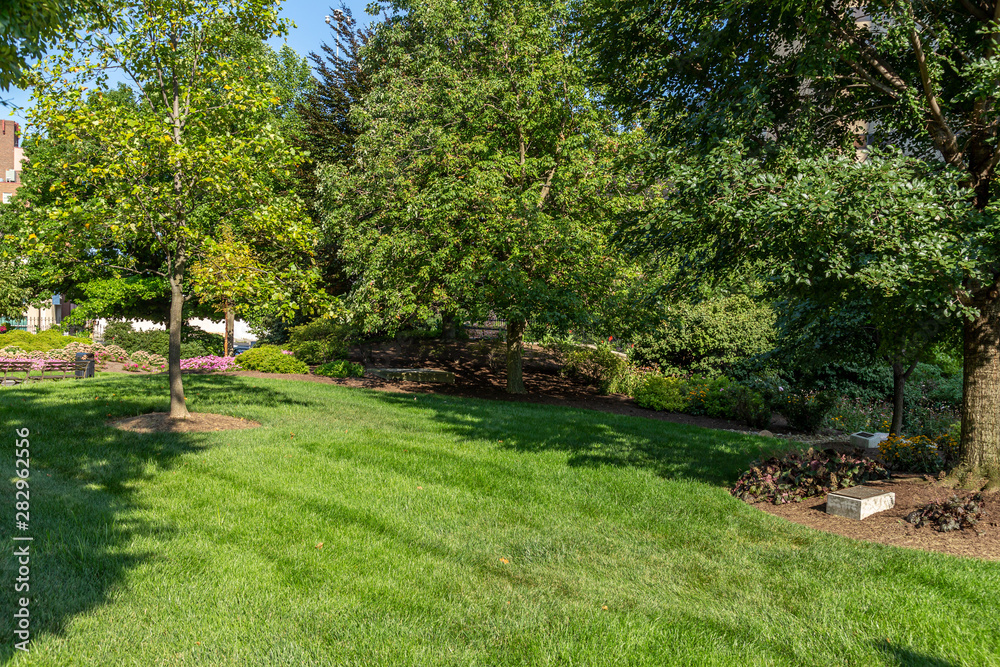 Park and Lawn with Trees and Shrubs Stock Photo | Adobe Stock