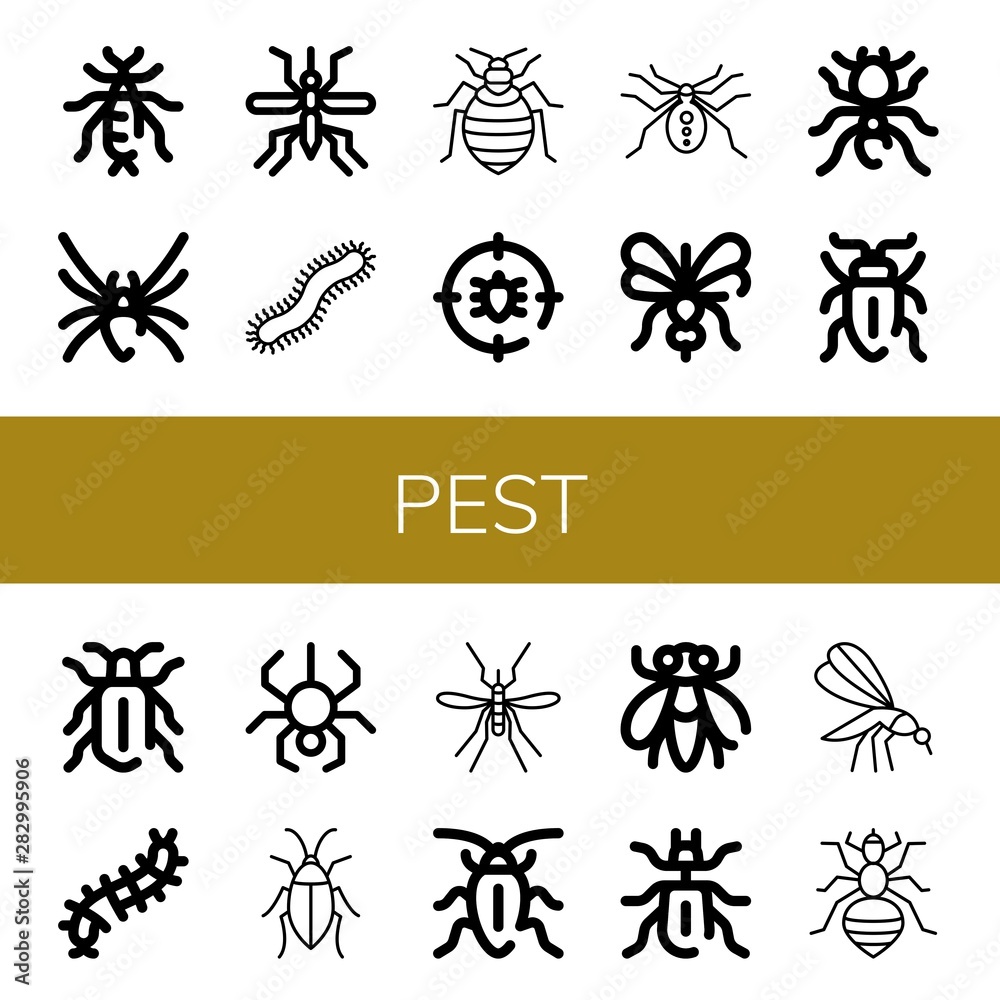Set of pest icons such as Earwig, Black widow, Mosquito, Centipede, Bed ...