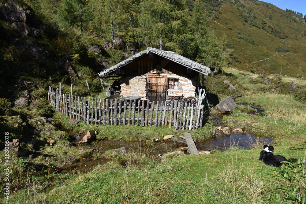 Foto de Hütte; Almhütte; Alm; Holzhaus; Wandern; Idylle; Alpen ...