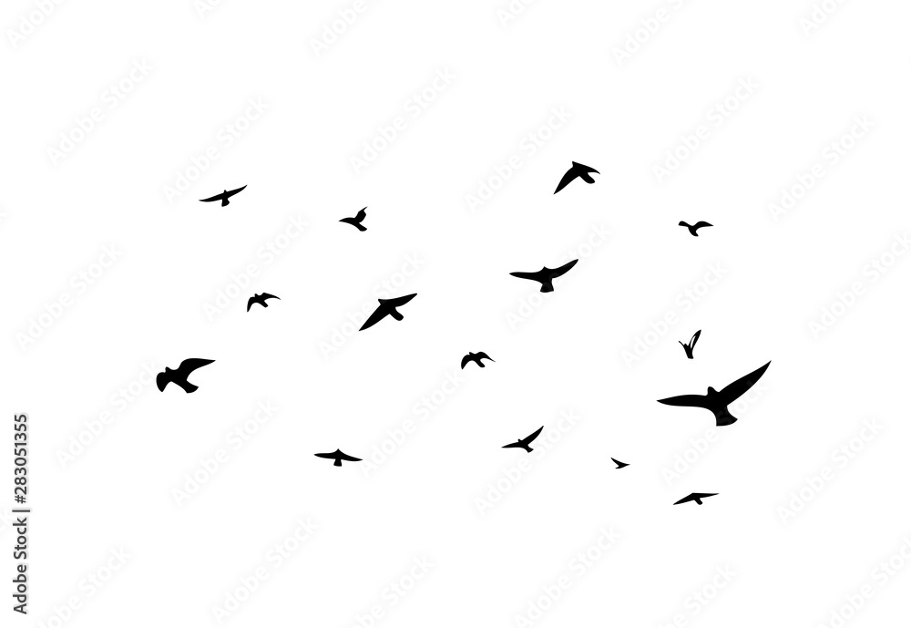 A flock of flying birds. Vector illustration Stock Vector | Adobe Stock