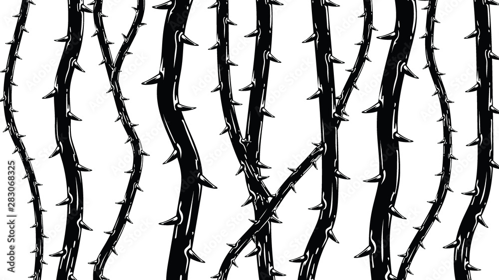 Black thorns background Stock Vector | Adobe Stock