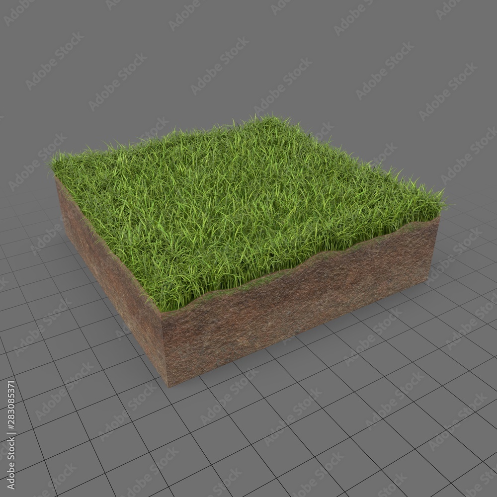 Grass cross section 3 Stock 3D asset | Adobe Stock