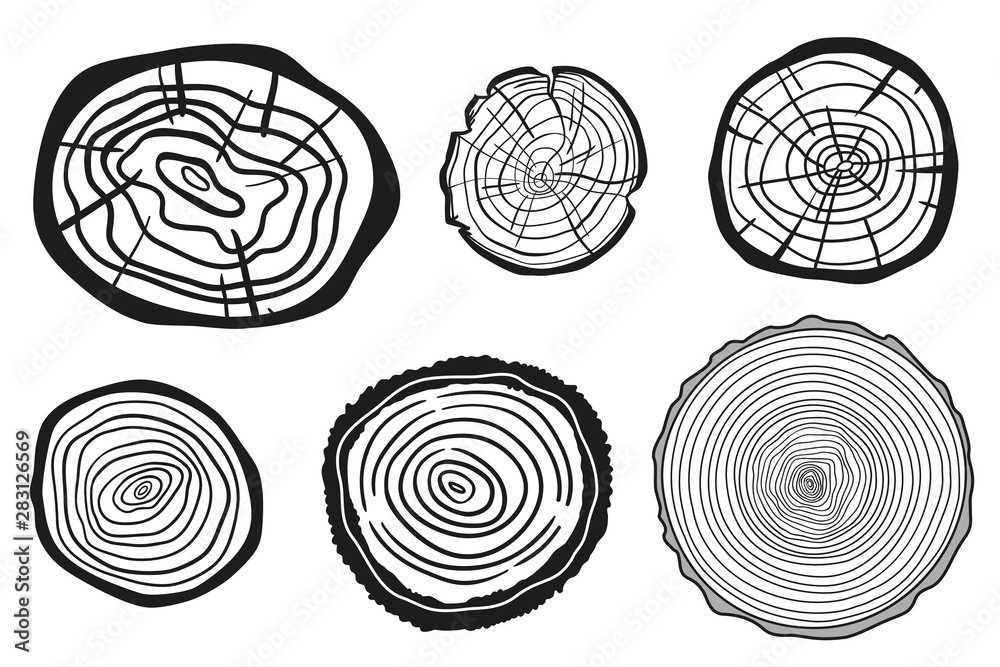 Tree rings on white. Wood cross section. Print for polygraphy, banners ...