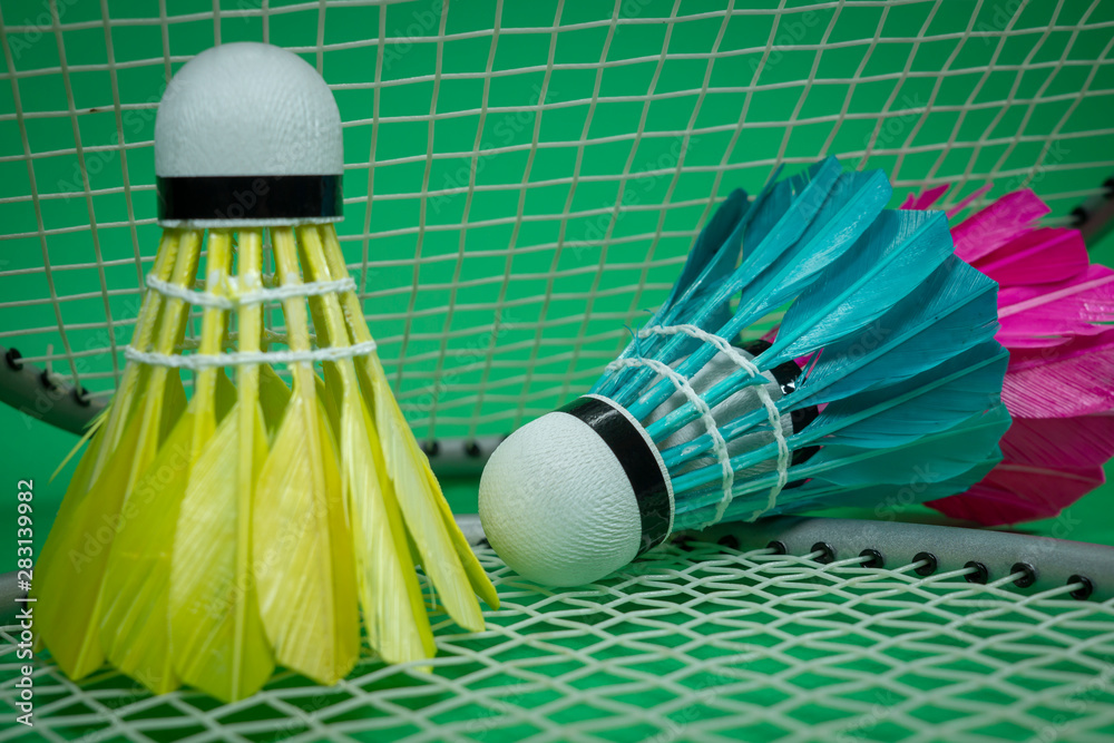 Badminton rackets and feathered shuttlecocks Stock Photo | Adobe Stock