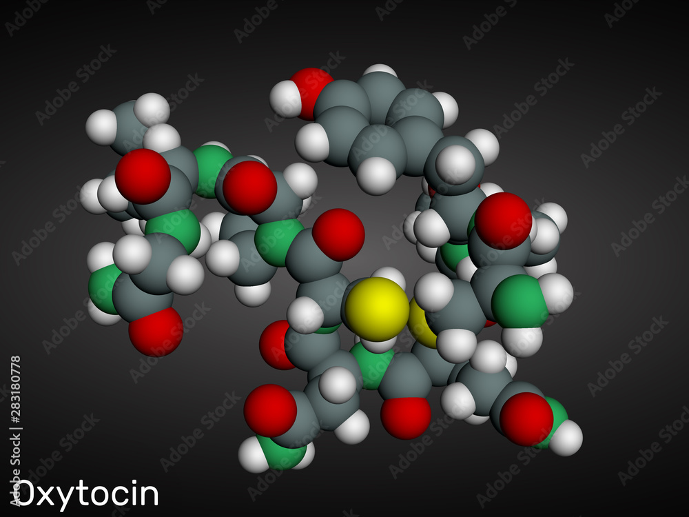 Oxytocin, Oxt, peptide hormone and neuropeptide molecule. Structural ...