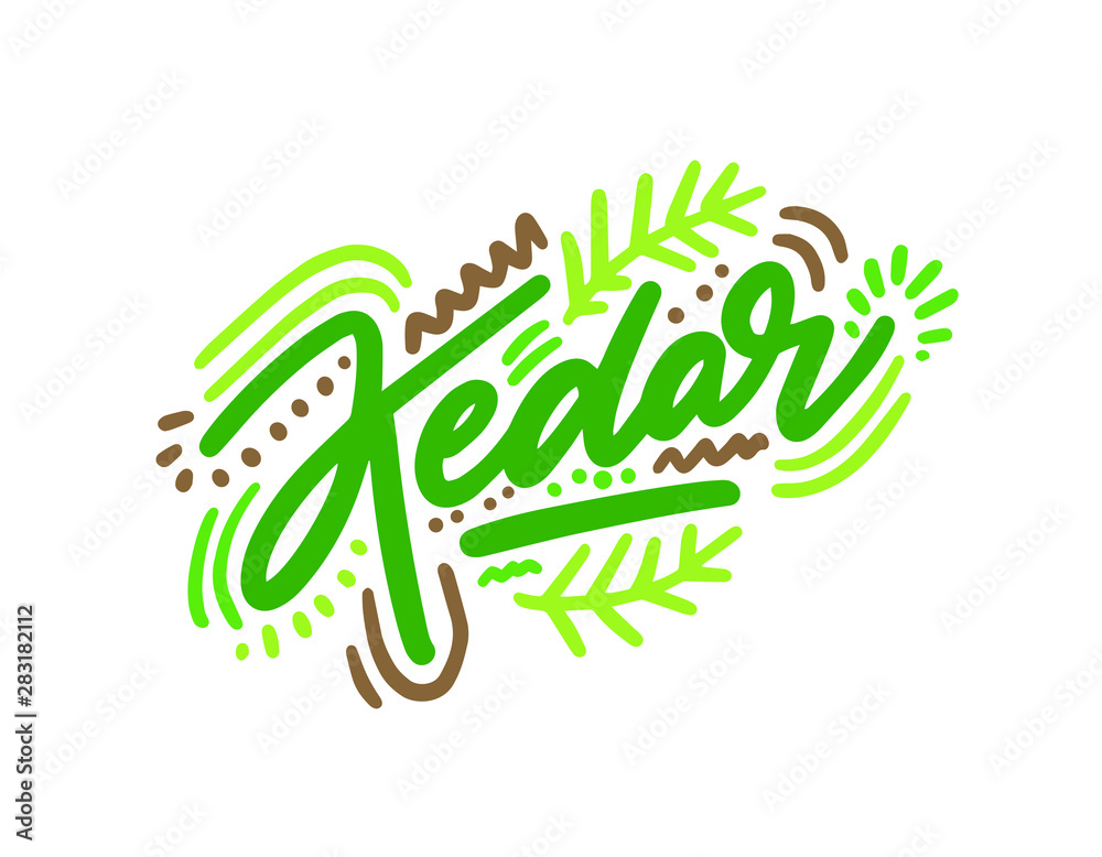 Kedar vector illustration. Vector set of element for advertising ...