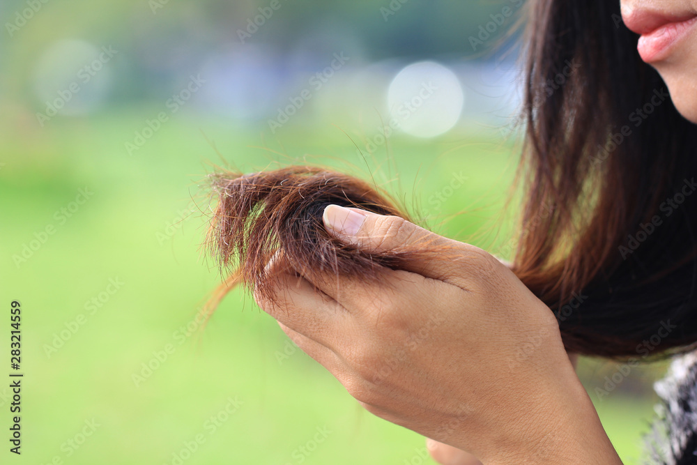 Woman hand holding her long hair with looking at damaged splitting ends ...