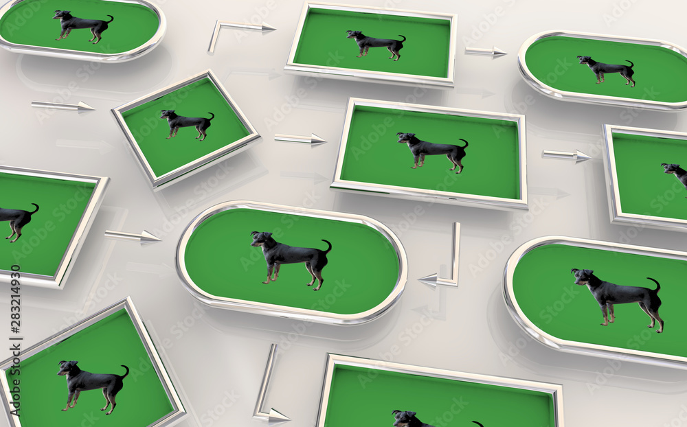 Dog Animal Pet Process Map Chart Network Connections 3d Illustration ...