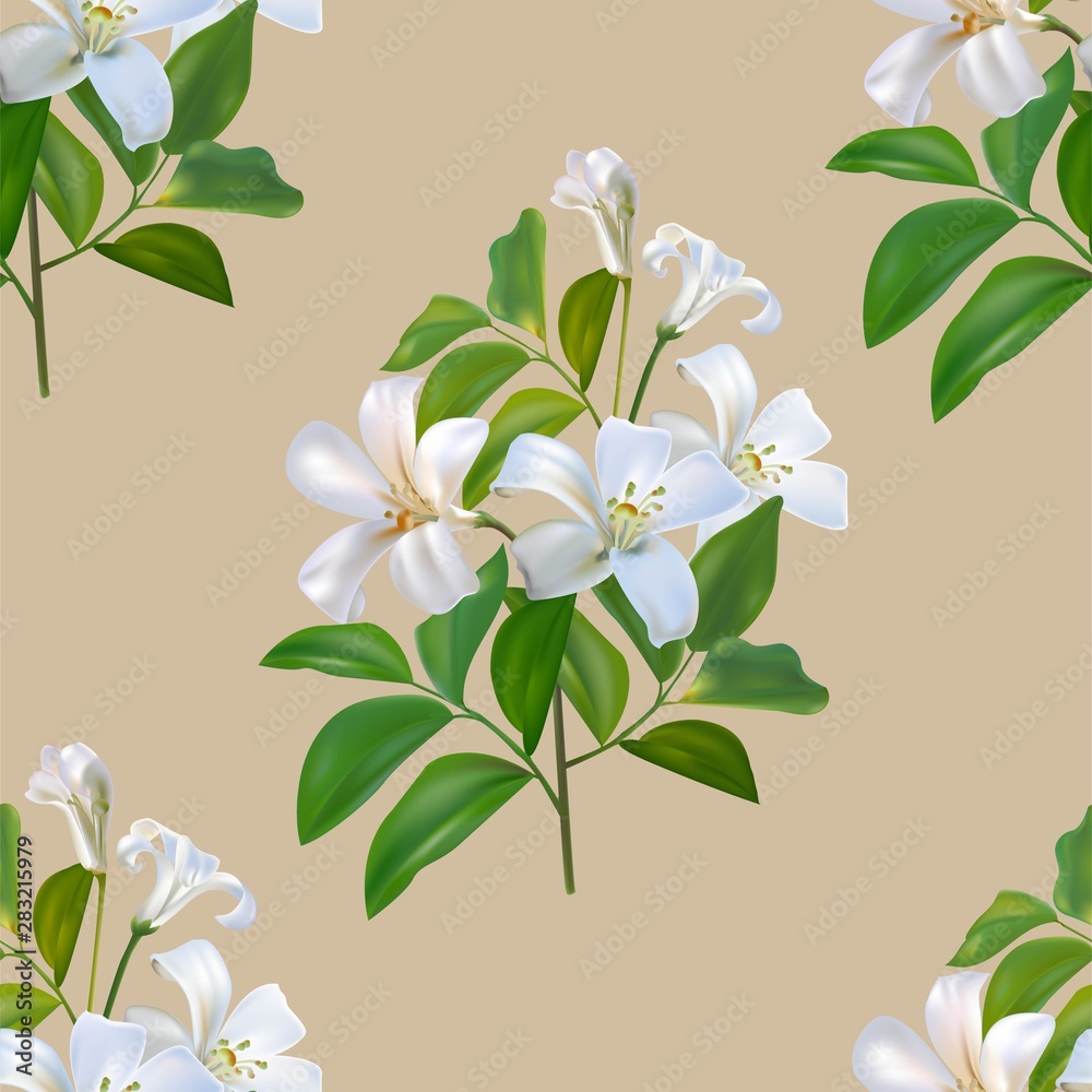 Sampaguita jusmine white flower and green leaves seamless pattern ...