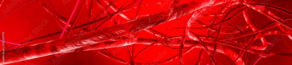 blood vessels, veins and arteries, circulatory system, 3d rendering ...