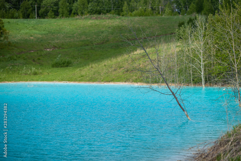 Dead tree in poisoned water. Alkaline solution. Ash dump dumping waste ...