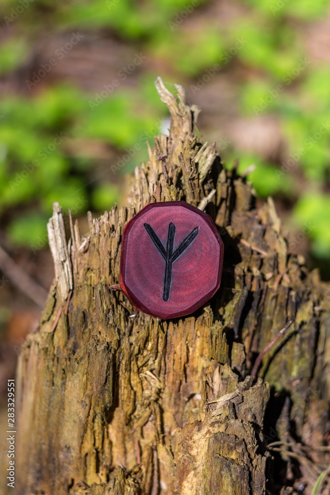 Rune Algiz (Elhaz) carved from wood on an old stump - Elder Futhark ...
