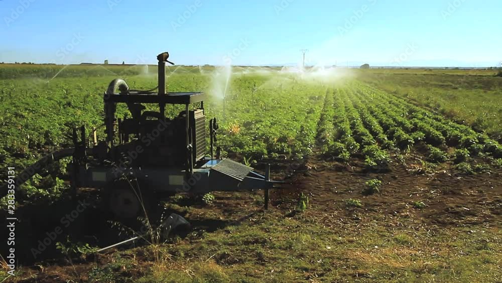 Diesel engine water pump irrigation system. Irrigation by sprinkler in ...